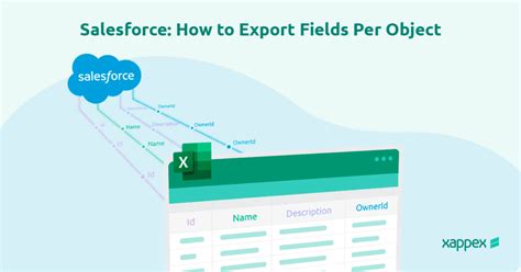 Salesforce How To Export Fields Per Object Xappex