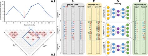 rapid reference free human genotype imputation with denoising