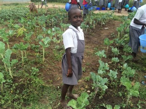 Akili School Water Project Riley Orton Foundation