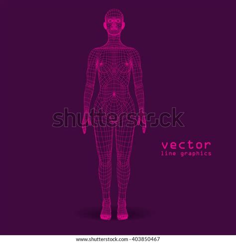 Linear D Naked Girl Full Length Woman Stock Vector Royalty Free