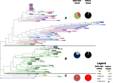 Neighbour Joining Tree Among Atlas Populations Based On Genotypic Data Download Scientific