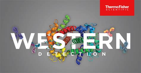 Western Blot Tips Tricks And Troubleshooting Guide Ebooks