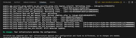 how to use variables to customize terraform configuration dev community