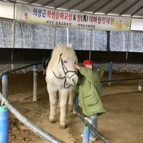 송정은 🐎 왕할머니 생파 후 승마체험 🐎 너네 너무 멋지다💕 구름이몽골이 오빠멋져트윈룩 시댁모임 크리스마스이브