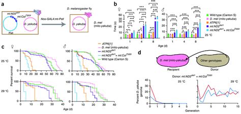 Cross Species Analysis Of Functional Conservation And The Competitive Download Scientific
