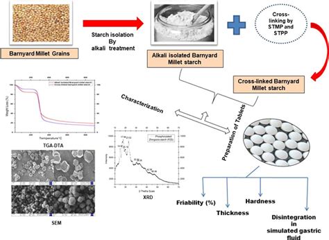 Functional And Tableting Properties Of Alkali Isolated And