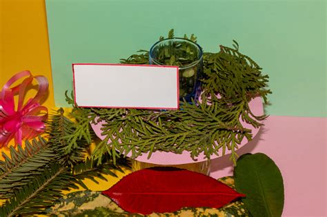 화려한 파스텔 배경에 상록 나무의 그려진 잎과 잎 유리에 공기에 비행 하는 것 같다 원형에 있는 복사 공간으로 흰색 카드 창조적 인 배열 자연 3차원 형태에 대한 스톡 사진