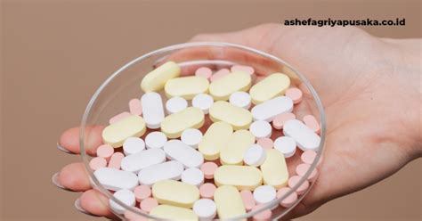 Codikaf Manfaat Dan Efek Samping Ashefa Griya Pusaka