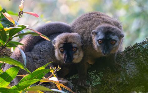 Refseq Release 227 Is Available Ncbi Insights