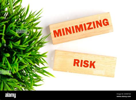 Minimizing Risk Word Written On Wooden Blocks On A White Background With A Green Plant Out Of