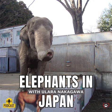 Nikita Dhawan Posted On Linkedin