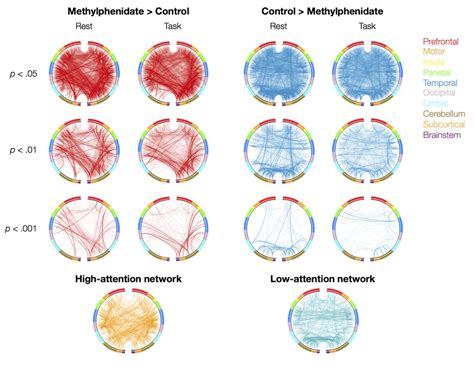 The First Three Rows Of Circle Plots Show The Functional Networks That