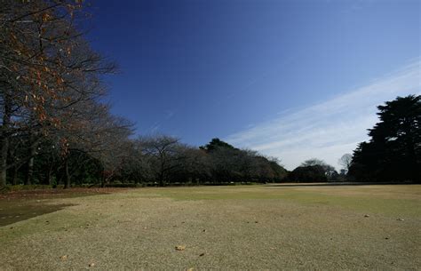 ゆんフリー写真素材集 No 1896 芝生広場 日本 東京