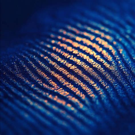 A Behavioral Biometrics System Used In A Financial Setting For Secure Transaction Verification