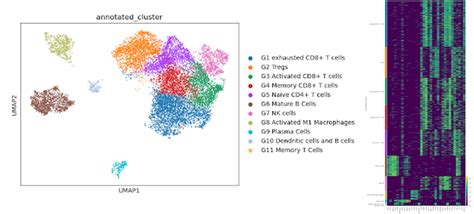 AI Powered Single Cell Analysis Sonrai Analytics