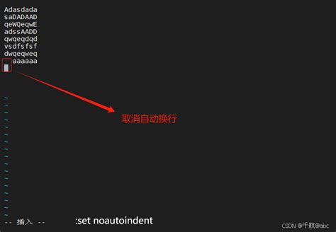 Vim如何设置自动缩进vi设置自动缩进 Csdn博客