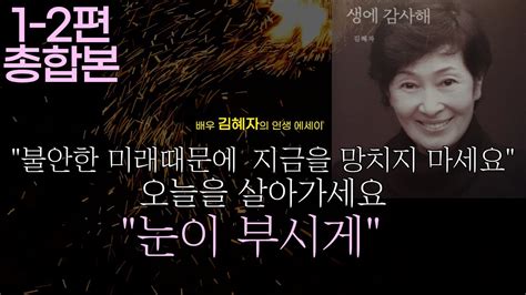 김혜자 총합본감동이네요 금수저로 태어났지만 항상 우울했고 죽음을 생각하다 연기를 통해 절망한 사람들에게 희망을 불어 넣어주고 싶었던 배우의 삶and 연기 인생 에세이 생에