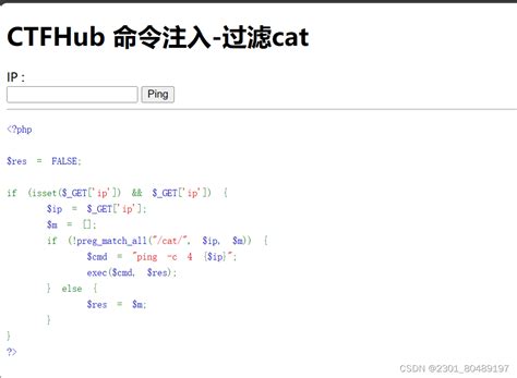 Ctfhub—rce 通关笔记ctfhub Rec Csdn博客