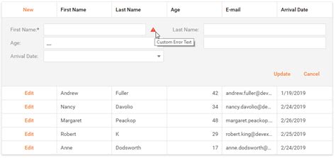 Validate Grid Data Aspnet Web Forms Controls Devexpress Documentation