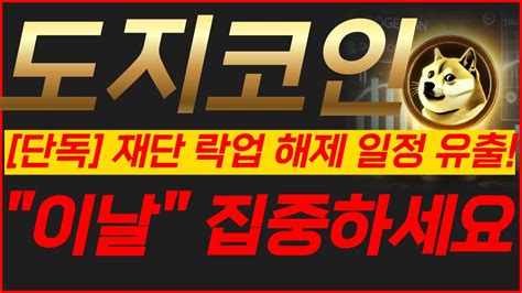 🔴도지코인 단독 재단 락업 해제 일정 유출🔥이날 집중하세요 Youtube