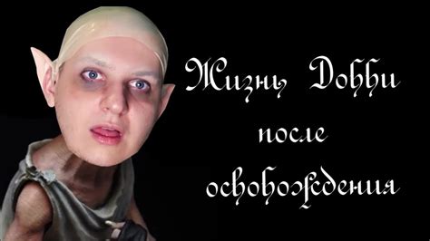 коротко о жизни добби косплей милс кел Youtube