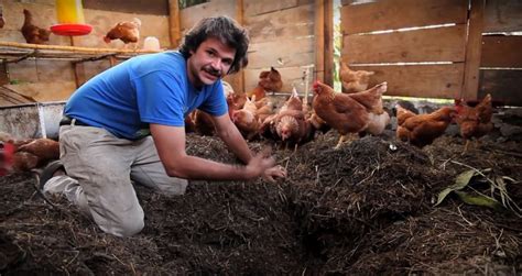 Composting Chicken House Video Homesteader Depothomesteader Depot