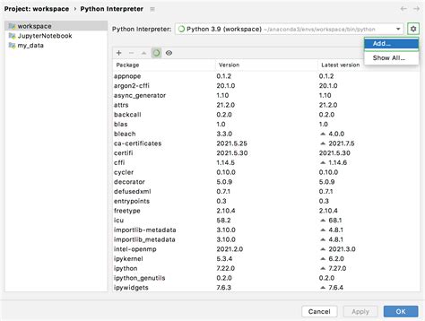 Configure A Conda Virtual Environment DataSpell