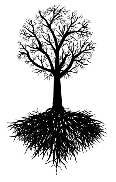 Tree Root Vector Stock Vector Premiumdesign 9618931
