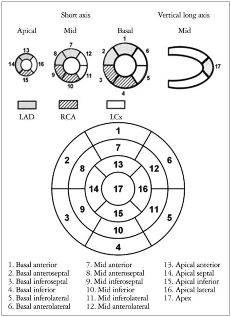 Nomenclature Of Left Ventricular Myocardial Segments Wi Open I