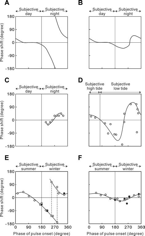 Comparison Of Phase Response Curves Prcs In Diverse Insect Clocks