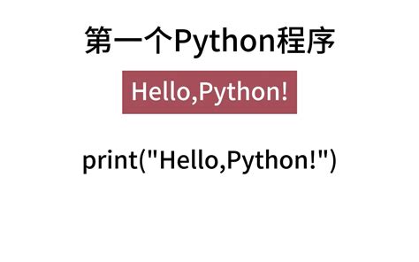 python基础实操 哔哩哔哩 bilibili