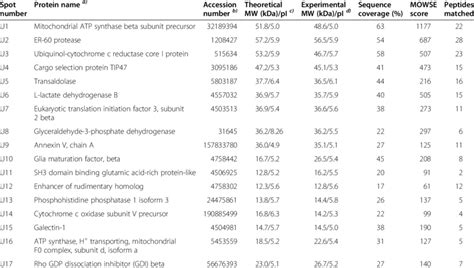 Rosuvastatin Modulated Proteins Identified By Lc Ms Ms Download Table
