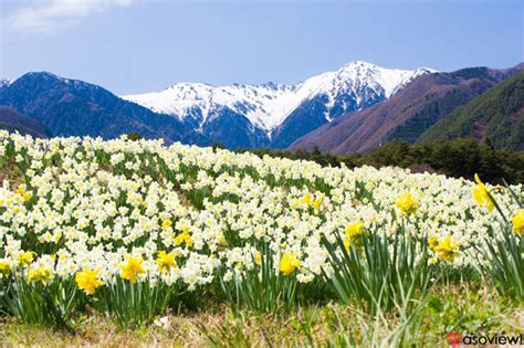 駒ヶ根の人気観光スポット11選長野県で屈指の絶景に心をときめかせよう