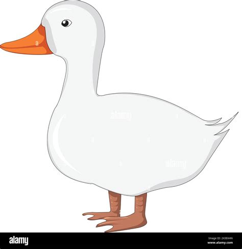 Beautiful Duck Vector Illustration Stock Vector Image And Art Alamy