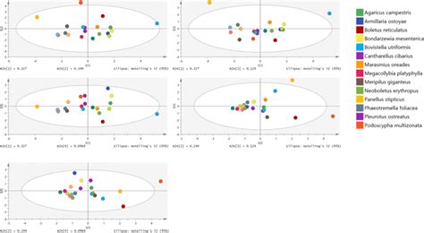 Score Plots Of Principal Component Analysis Download Scientific Diagram