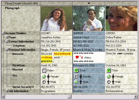 The Delphi Disciple Real World Tools 3 Tms Components