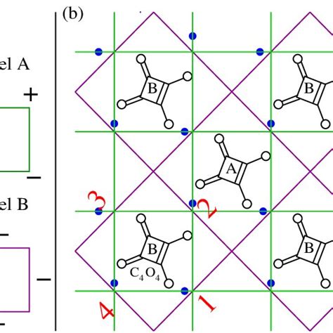 Color Online B Schematic 2d Square Lattice Showing The Leading Download Scientific Diagram