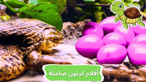 مشاجرة بين الضفدع و سمك السلور 🐟🐙 السلطعون الملك أفلام كرتون صامتة