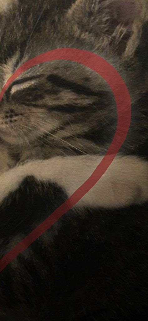 Adorable Matching Wallpapers For Couples