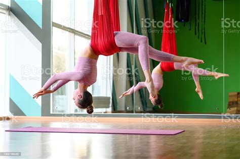 해먹에서 공중 요가 슬림 운동 여자는 중력 요가와 스트레칭 운동을 수행 플라잉 요가에 대한 스톡 사진 및 기타 이미지 플라잉 요가 20 24세 Mental