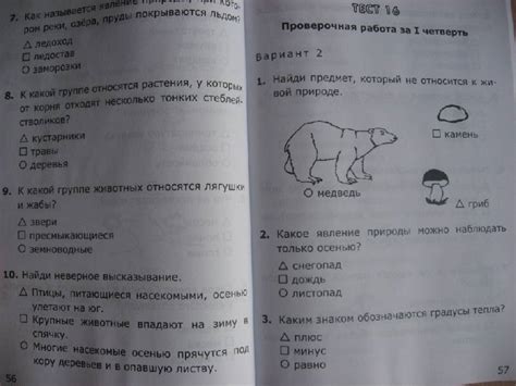 Тесты По Предмету Окружающий Мир 4 Класс Diskfilecloud