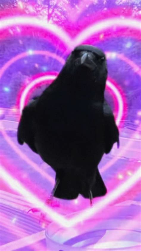 Day59flashback Hello It Is Me I Am Back Today Were Gonna Throw