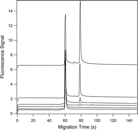 Electropherograms Are Shown For The Injection And Separation Using Download Scientific Diagram