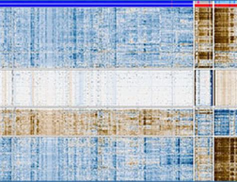 Rna Stability Is An Important Determinant Of Eventual Transcript Levels