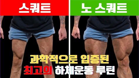 스쿼트 없이 하체를 키우는 최고의 5가지 하체운동 루틴 공개 Youtube