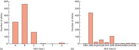 Hla Alleles Have Extremely High Polymorphisms At Both A Class I And