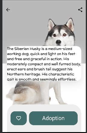 GitHub Anuj Pet Shop Ui Flutter