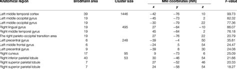 Results Of Functional Magnetic Resonance Imaging Of Anatomical Regions