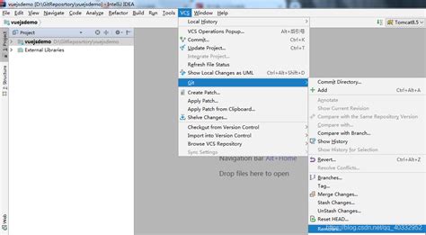 Idea 添加或修改git的remotes远程连接idea Couldnt Add Reomte Csdn博客
