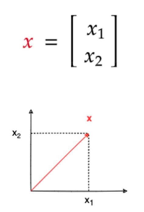 Vector Norms A Quick Guide Built In